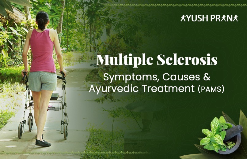Disseminated Sclerosis Causes Symptoms Treatment Multiple Sclerosis